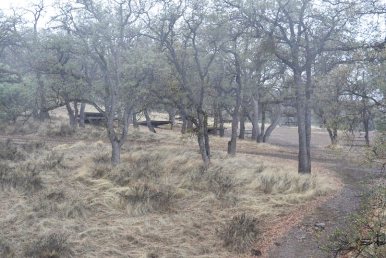 Campsites – Rancho Los Mochos | GGAC